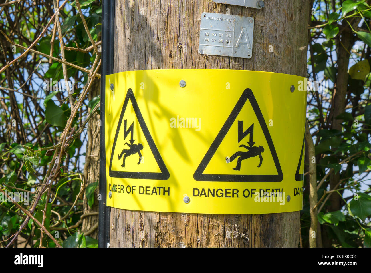 Electricity pole with warning sign 'Danger of Death' Stock Photo - Alamy
