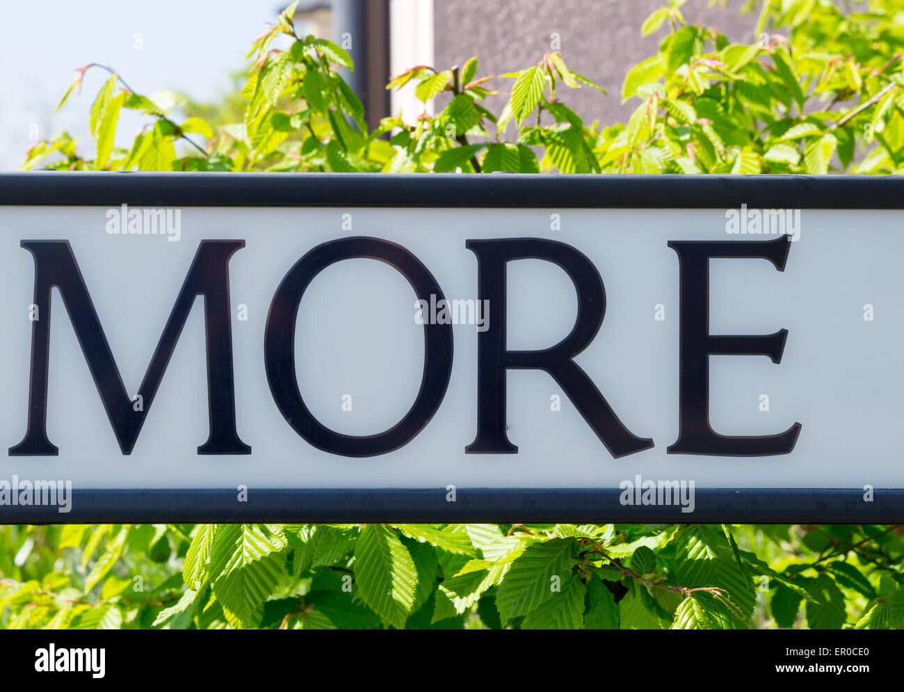 Sign for 'More' abstract closeup of street sign hedge in background ...
