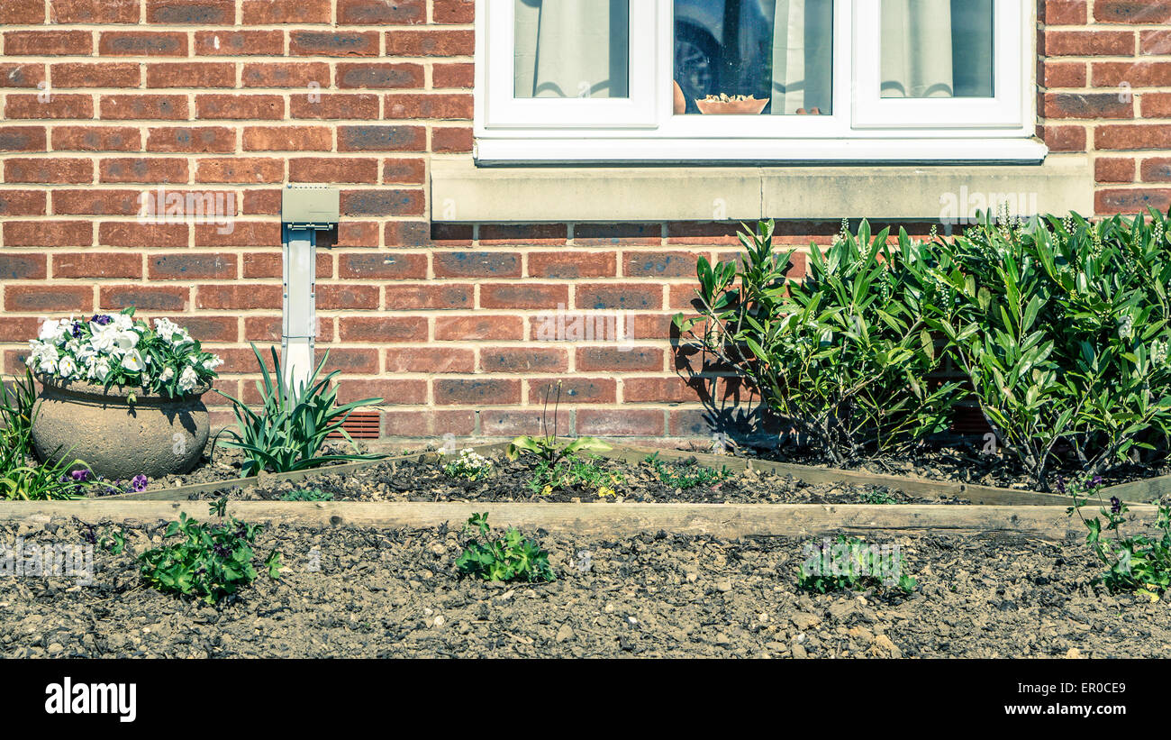Flower beds under a window Stock Photo - Alamy
