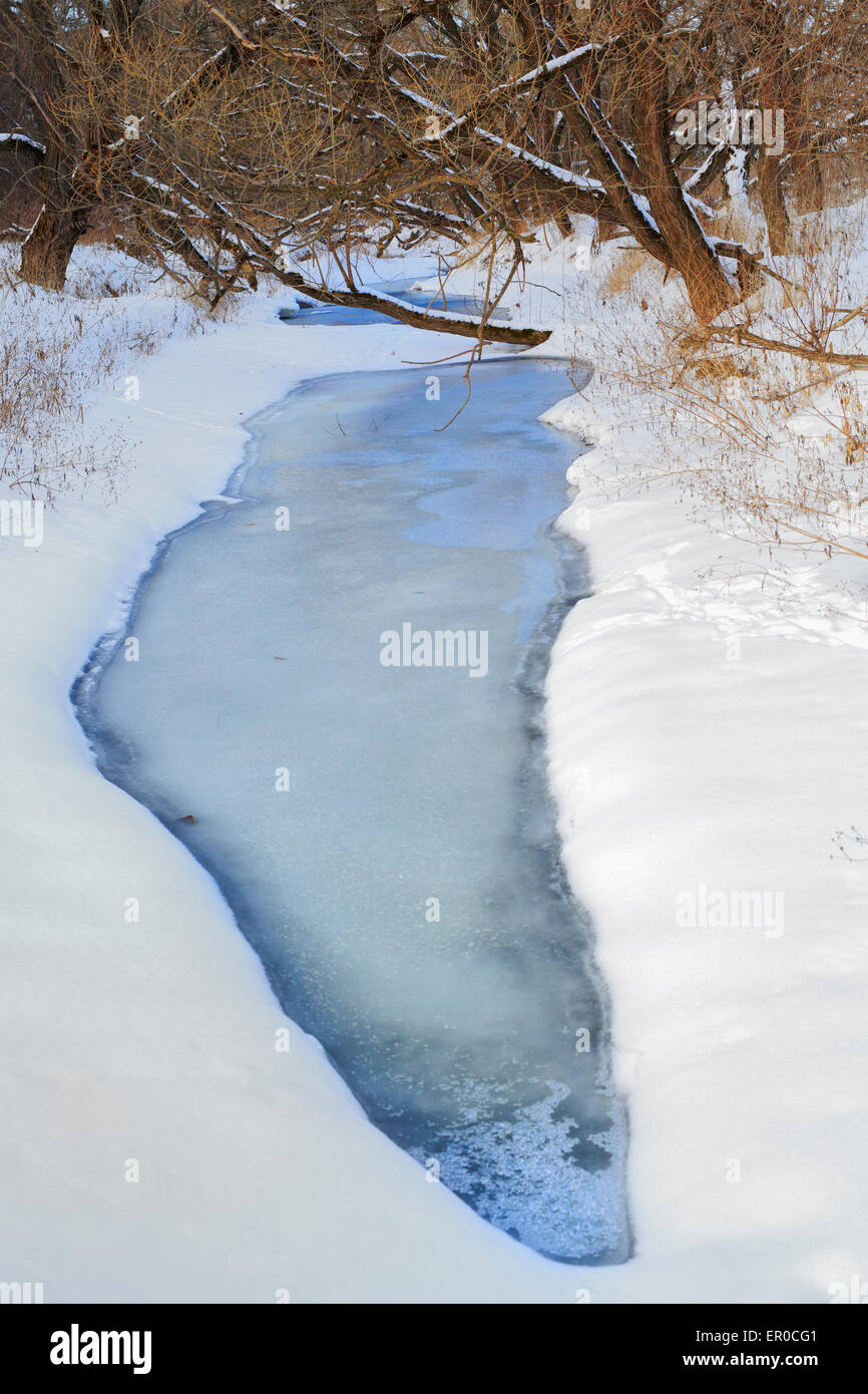 River in winter forest ice snow landscape nature Stock Photo - Alamy