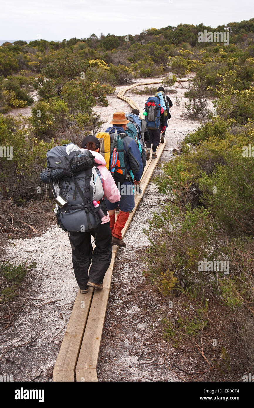 Bushwalking victoria hi-res stock photography and images - Alamy