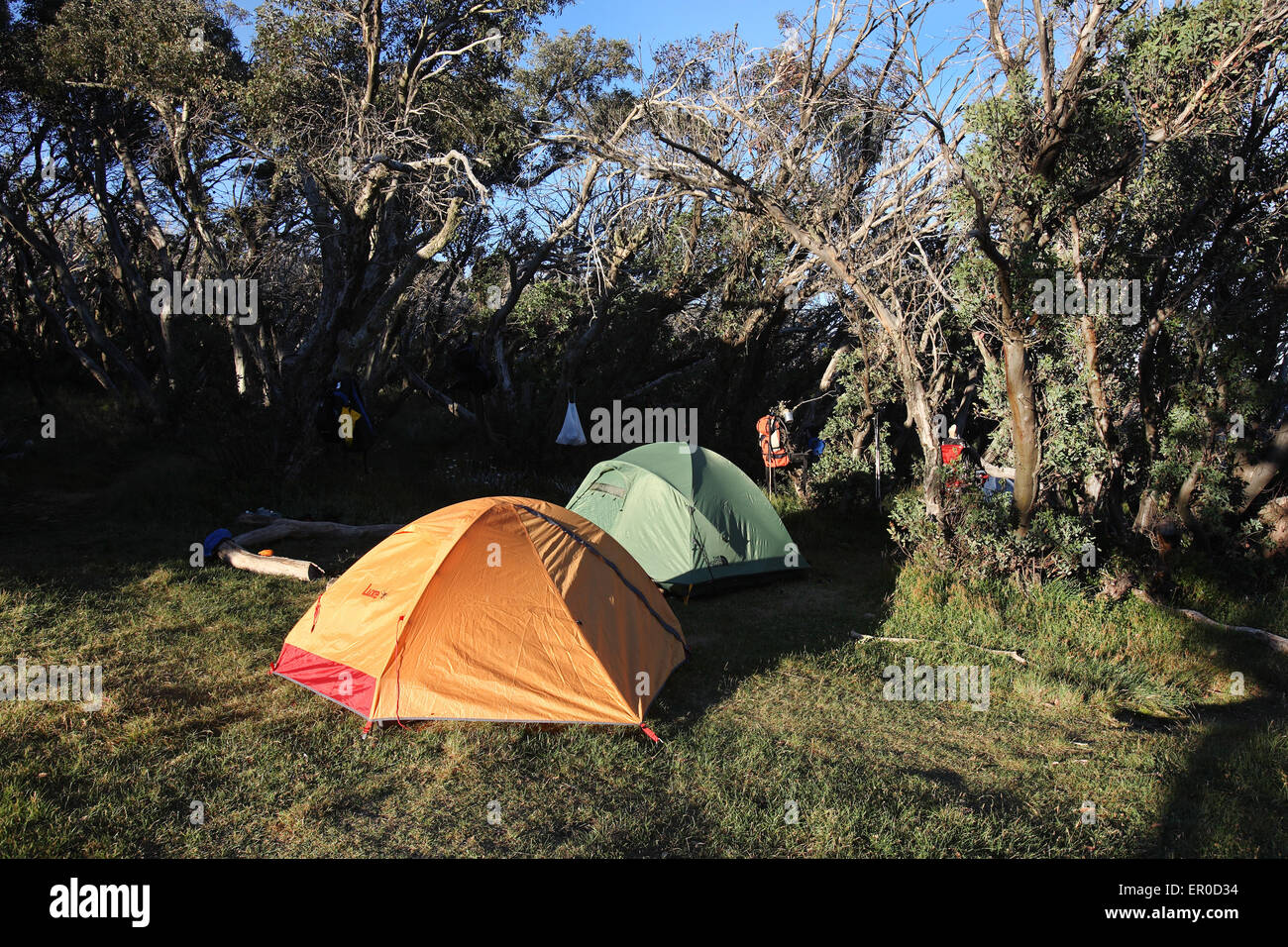 Camping in the Victorian Alps, Australia Stock Photo - Alamy