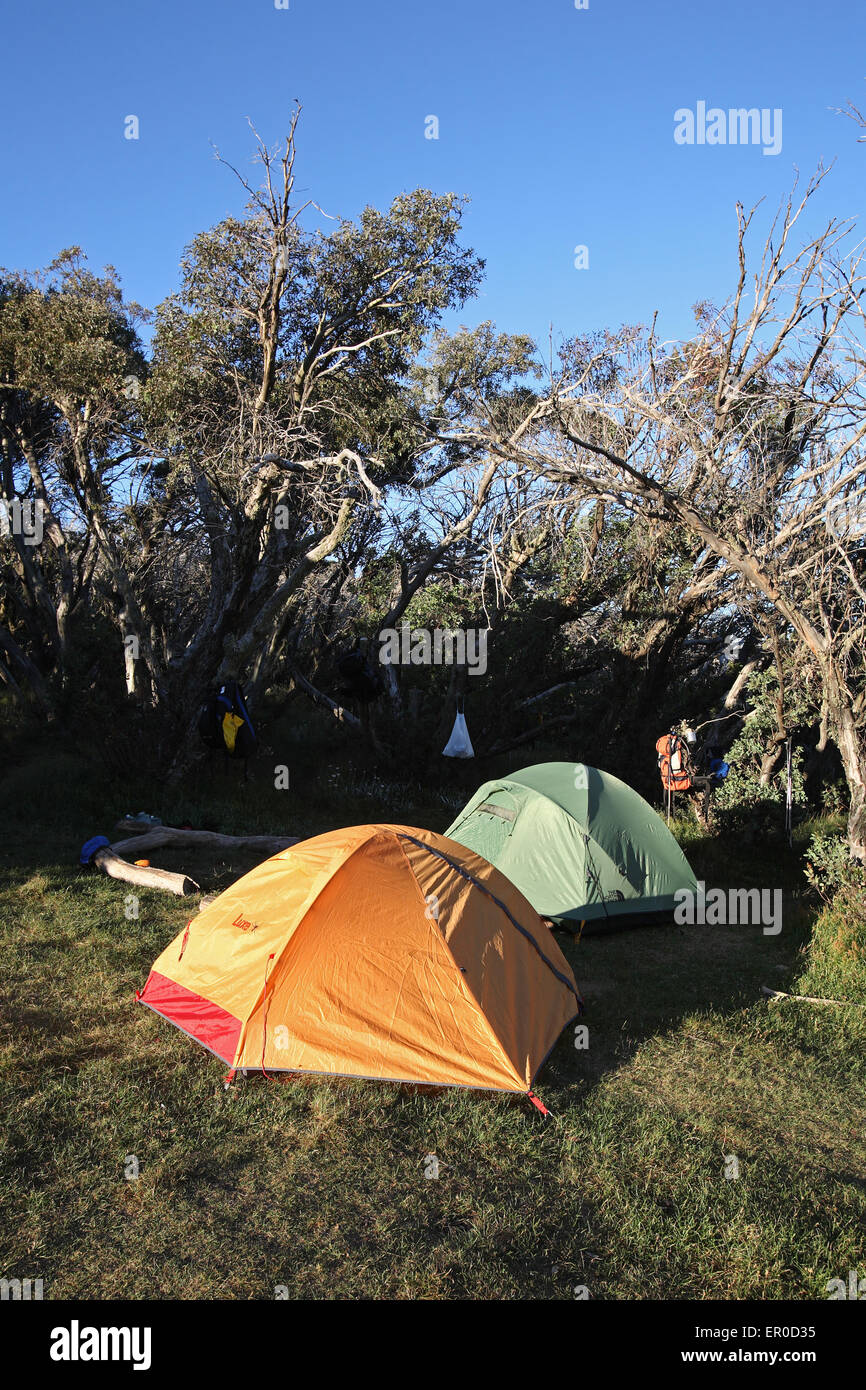 Camping in the Victorian Alps, Australia Stock Photo - Alamy