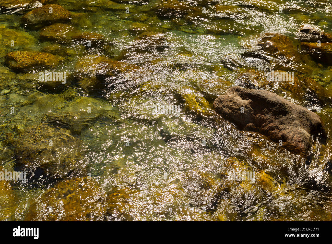 river flow in mountain, Val Genova, Trentino, Italy Stock Photo - Alamy