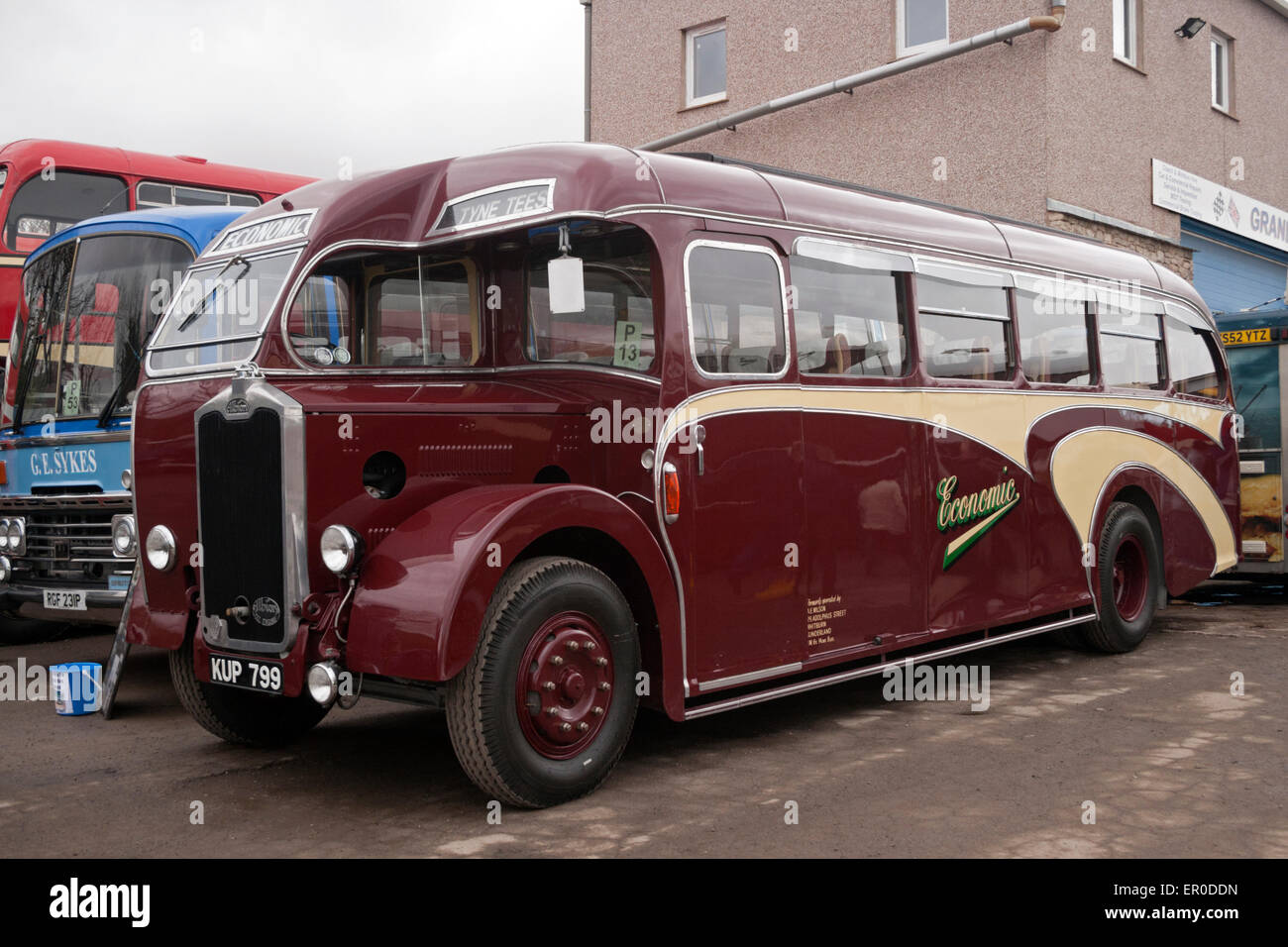 Albion Bus High Resolution Stock Photography and Images - Alamy
