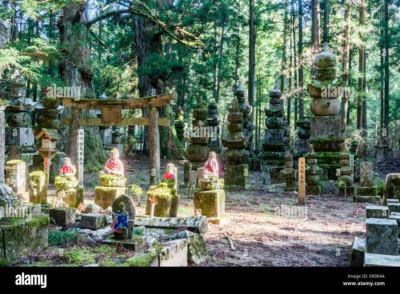 Gorinsekito Stock Photos & Gorinsekito Stock Images - Alamy