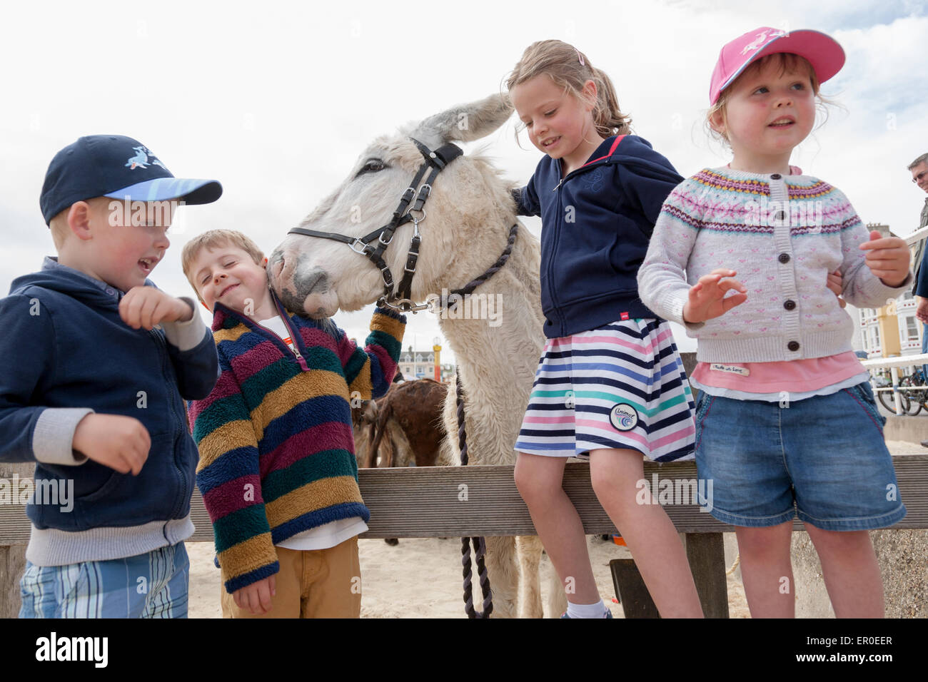 Children and animals hi-res stock photography and images - Alamy