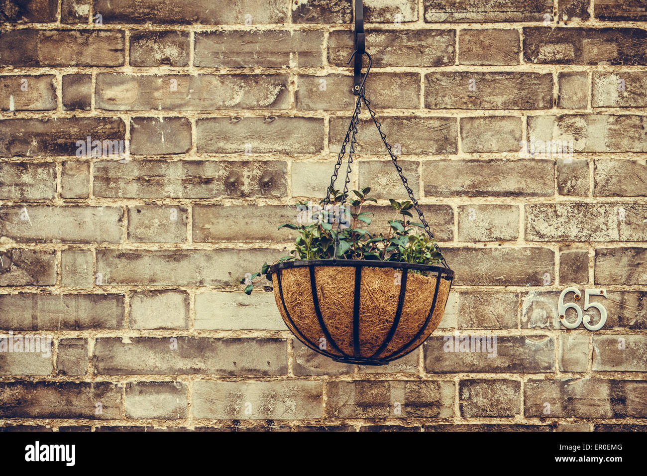 House number 65 sixty five weathered wall closeup Stock Photo - Alamy