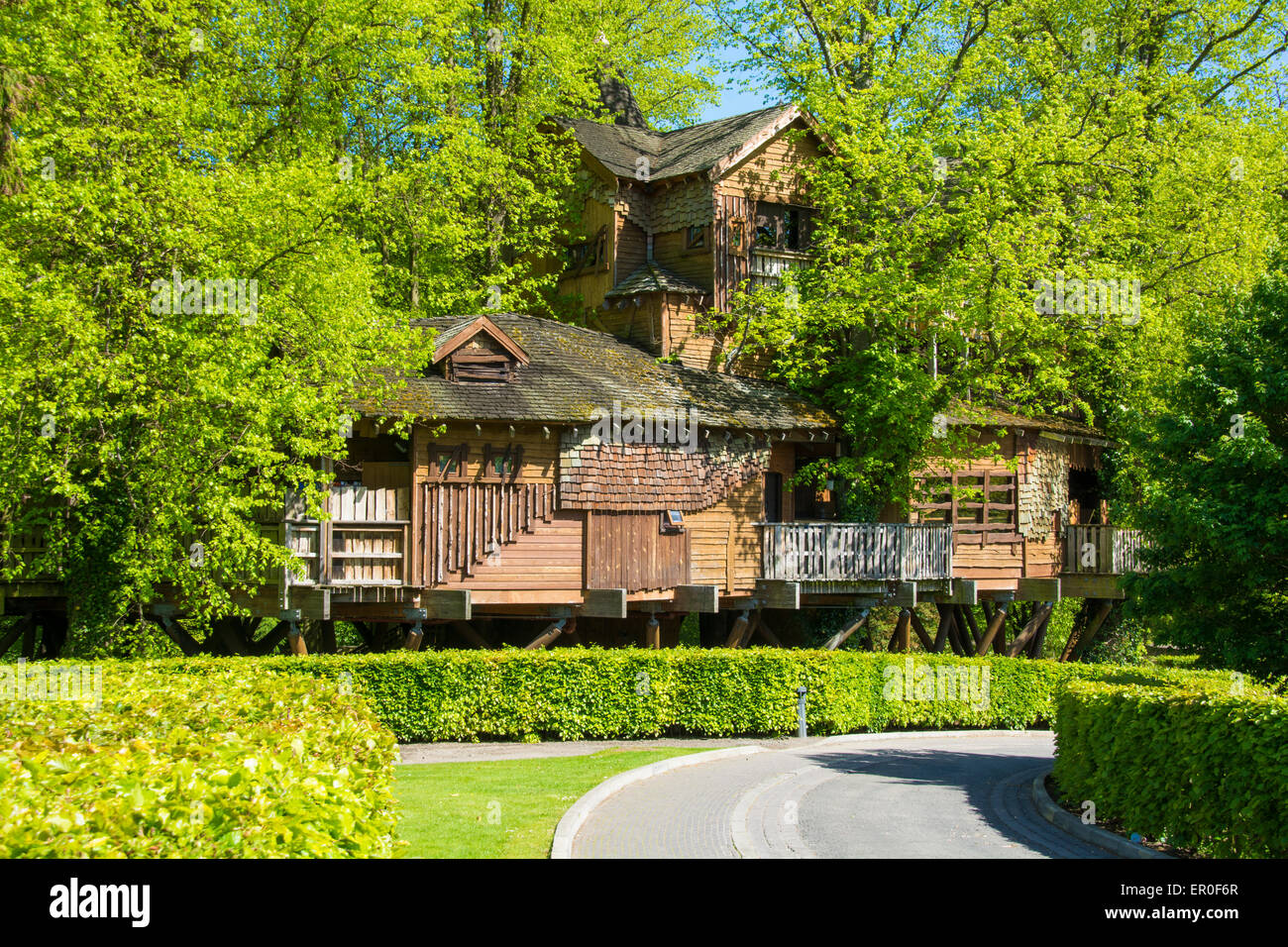 Treehouse Uk High Resolution Stock Photography and Images - Alamy