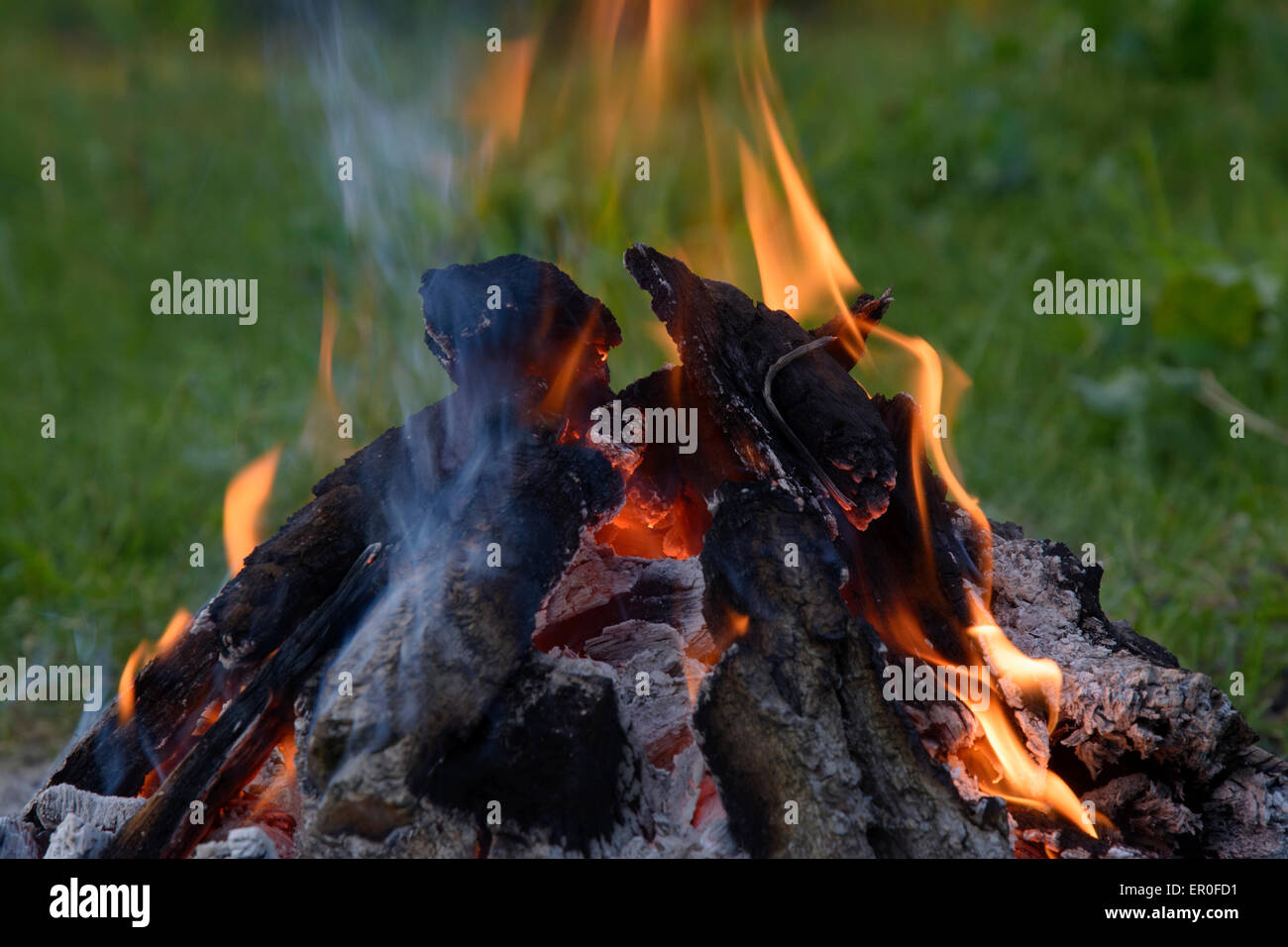 Campfire in the parking lot in the forest at rest Stock Photo - Alamy