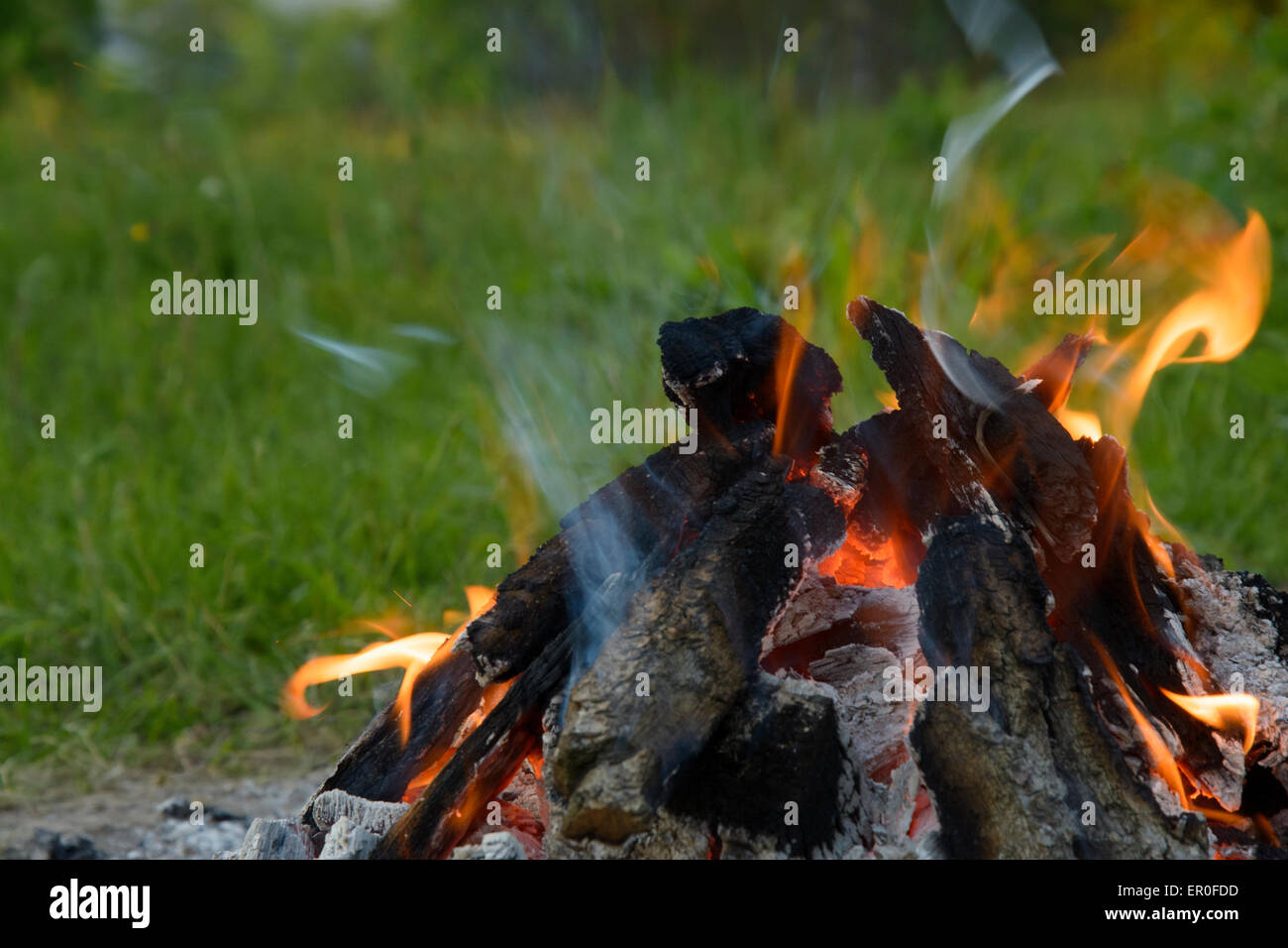 Campfire in the parking lot in the forest at rest Stock Photo - Alamy