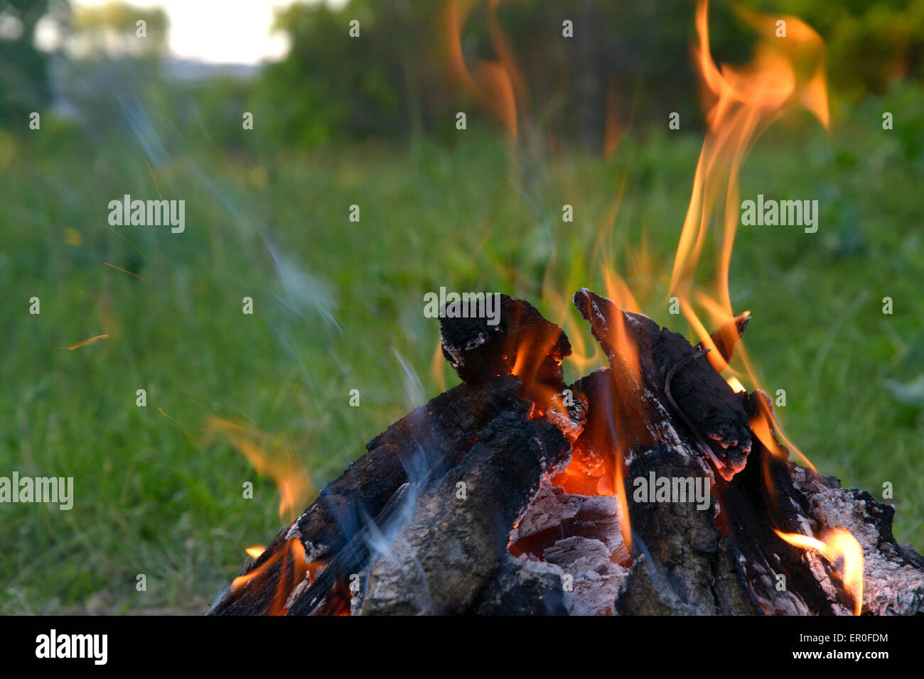 Campfire in the parking lot in the forest at rest Stock Photo - Alamy