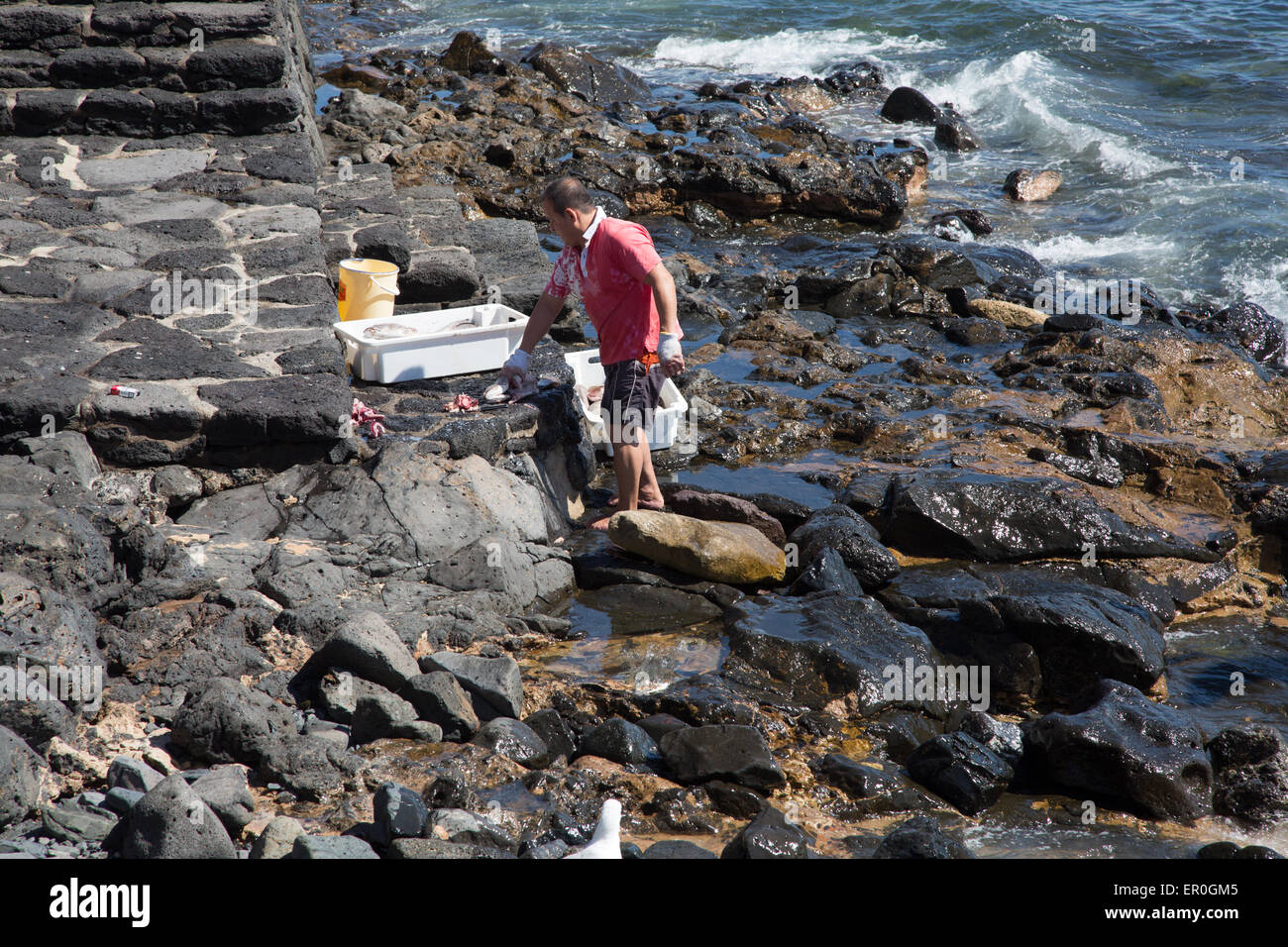 fisherman cleaning fish Stock Photo - Alamy