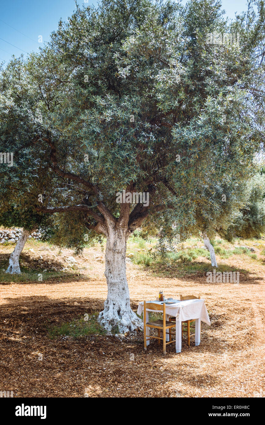 A Table under an olive tree Stock Photo - Alamy