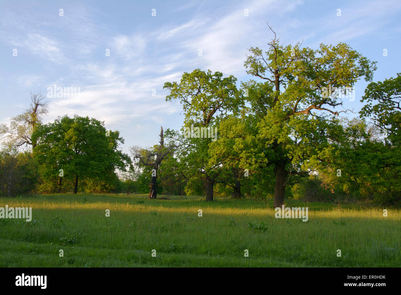 Beautiful candid hi-res stock photography and images - Alamy