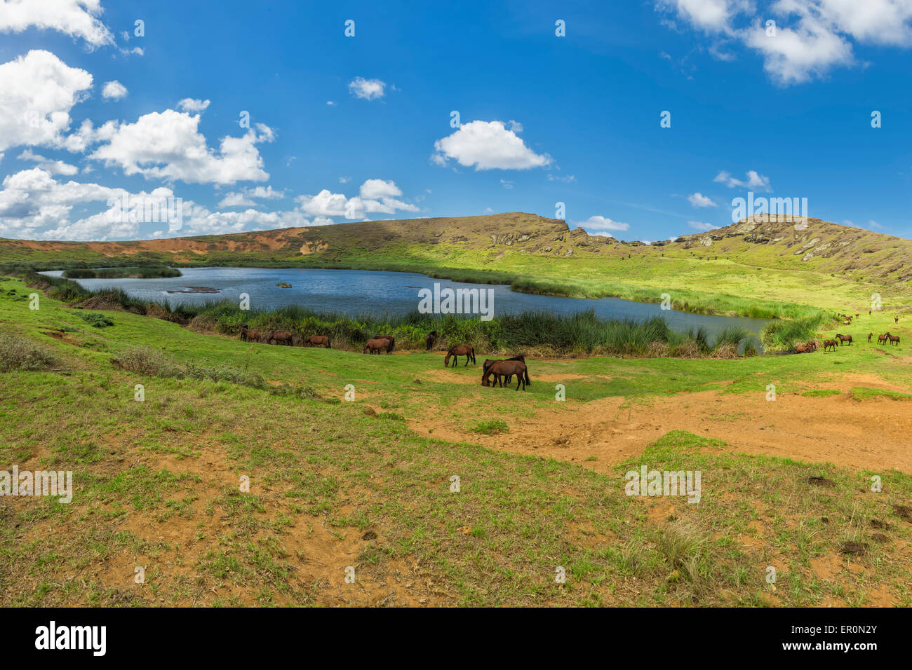 Rano Raraku crater lake, Rapa Nui National Park, Easter Island, Chile ...