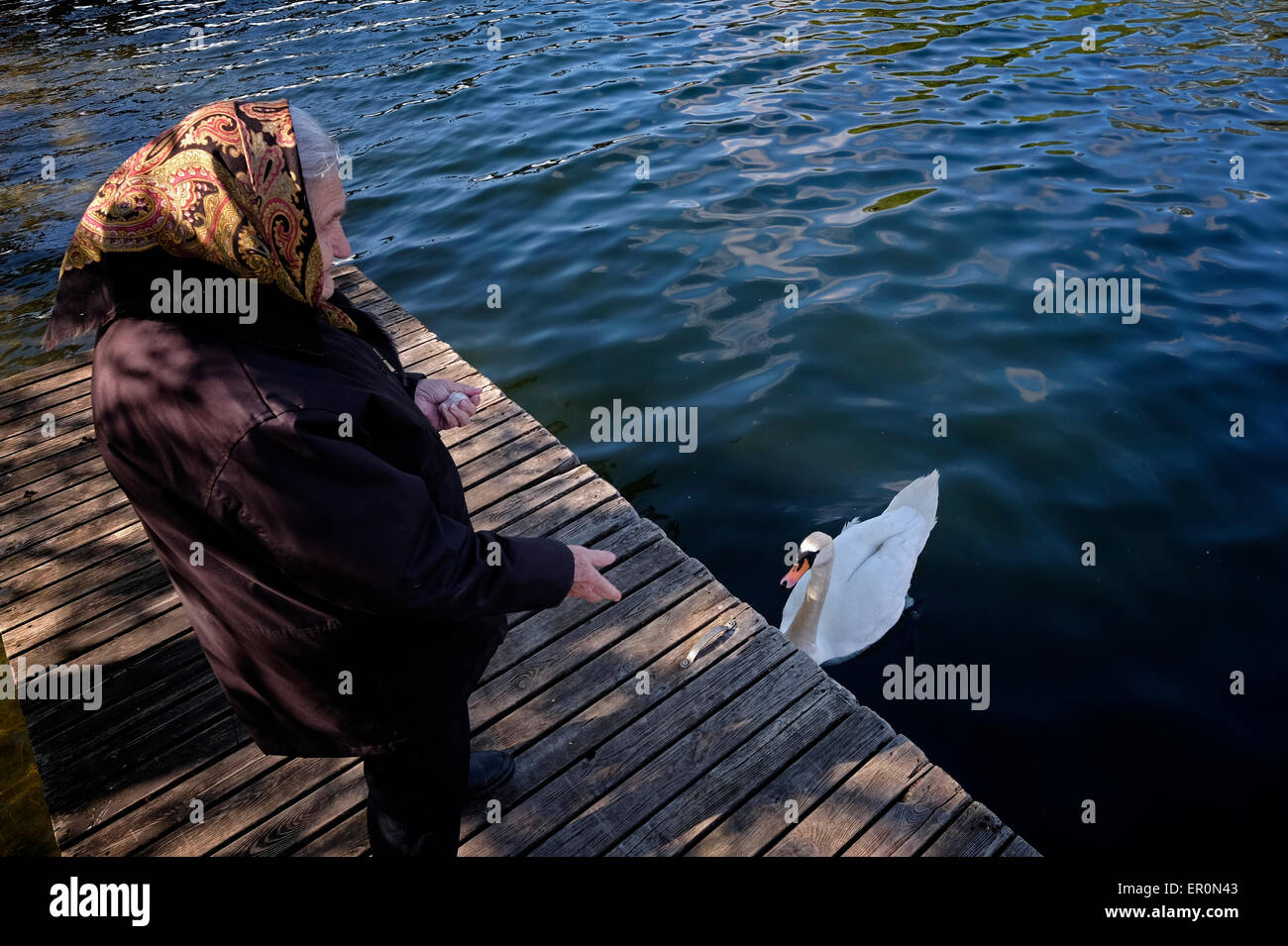 Woman with goose hi-res stock photography and images - Alamy