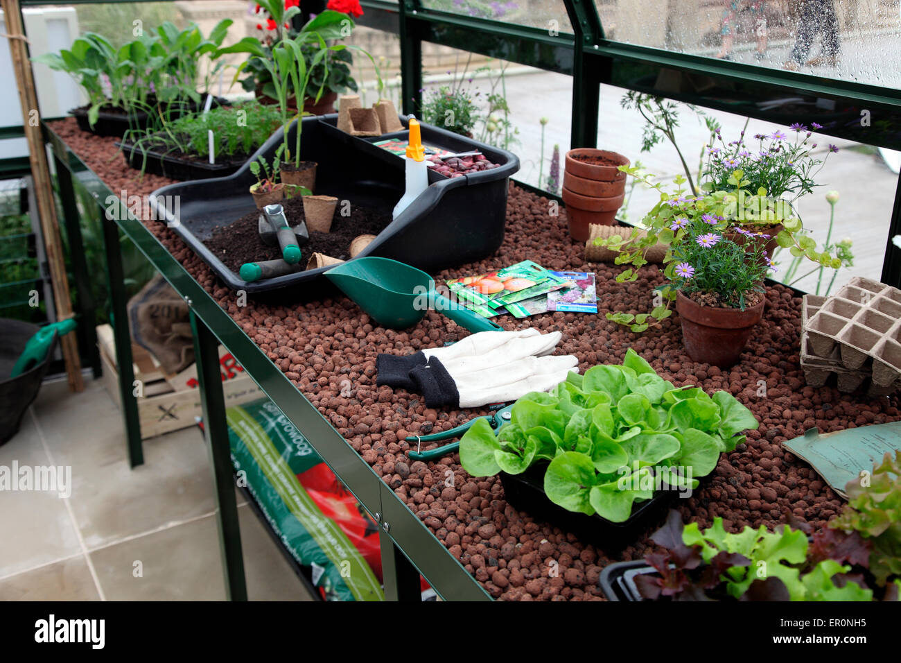 Greenhouse work table RHS Chelsea Flower Show 2015 Stock Photo - Alamy