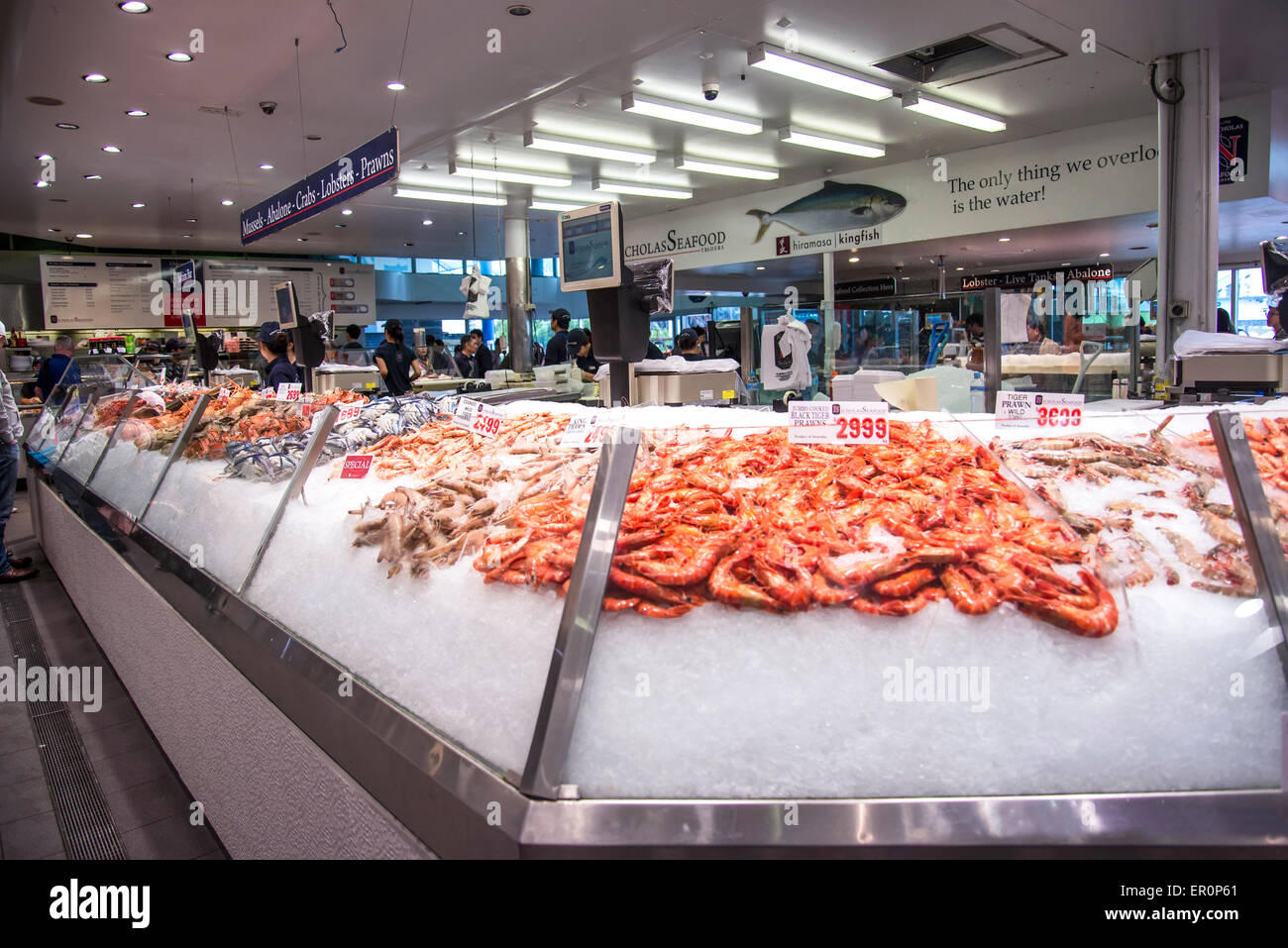 Seafood on the Sydney Fish Market Stock Photo - Alamy
