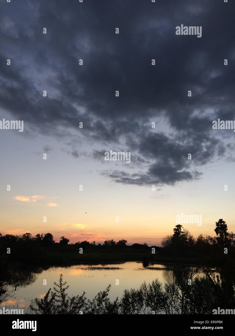 Sunset at a Central Florida swamp Stock Photo - Alamy