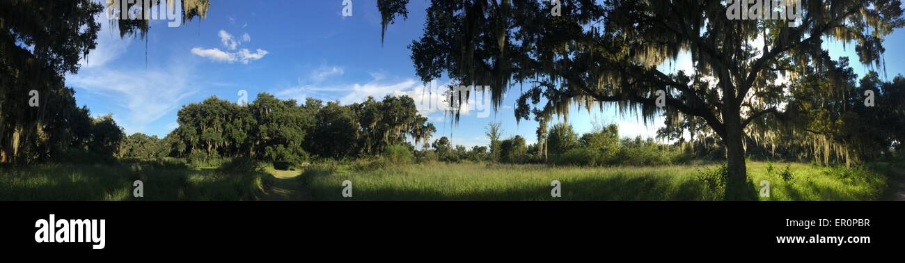 Nature reserve in Central Florida Stock Photo - Alamy