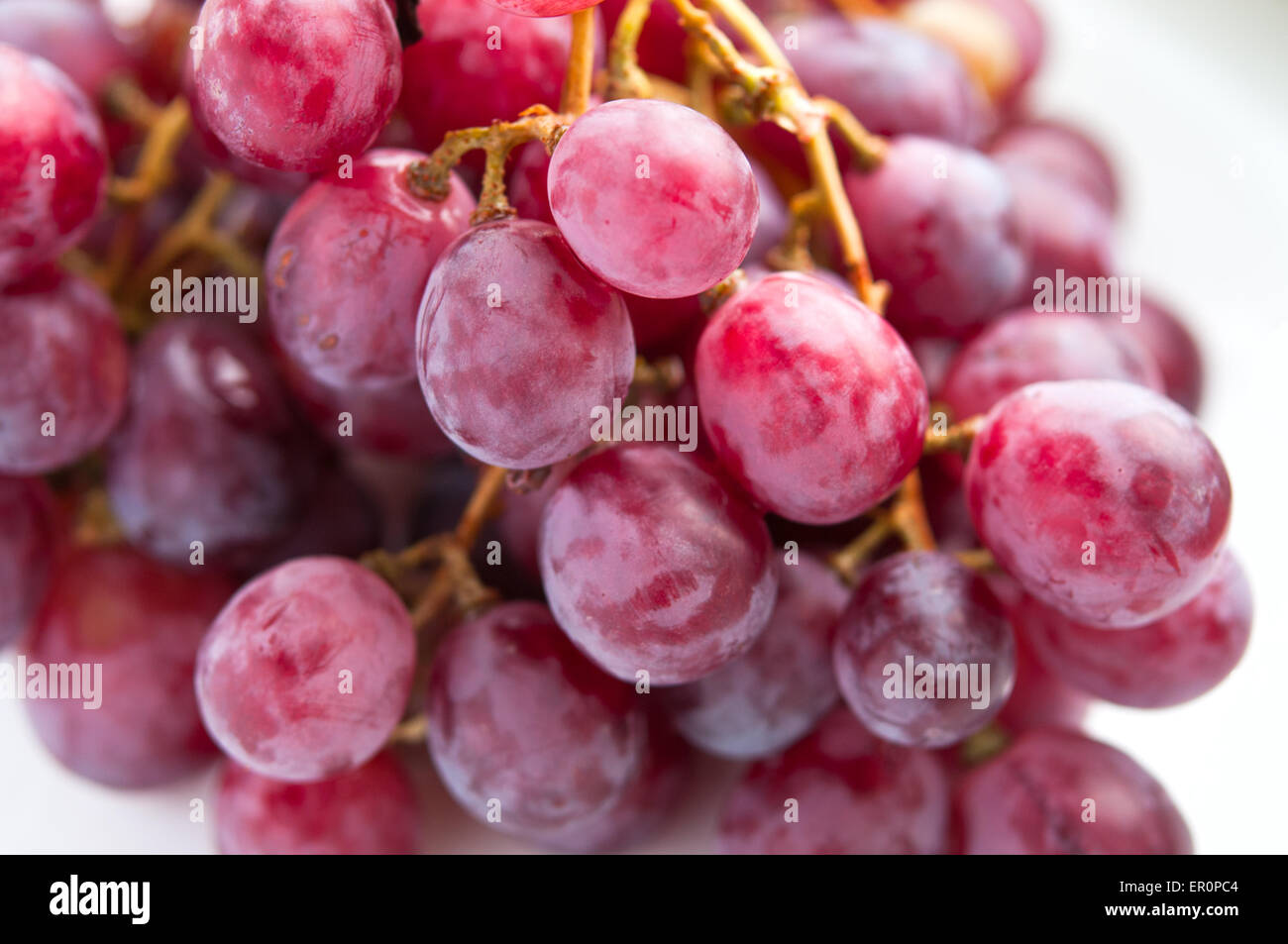 Violet grapes close up on white background Stock Photo - Alamy