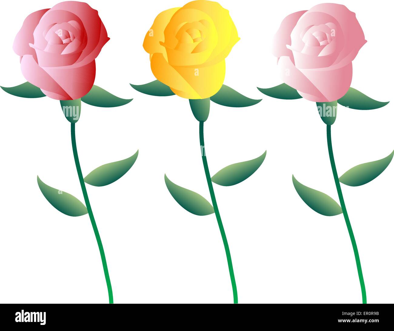 Set of Three Roses Stock Vector Image & Art - Alamy
