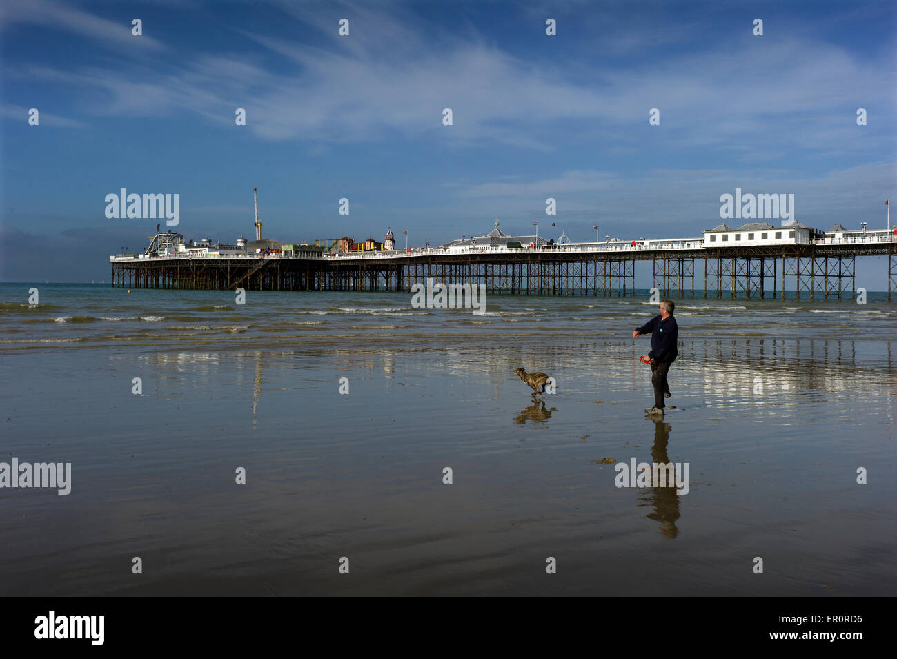 Man Dog On Brighton Beach High Resolution Stock Photography and Images ...