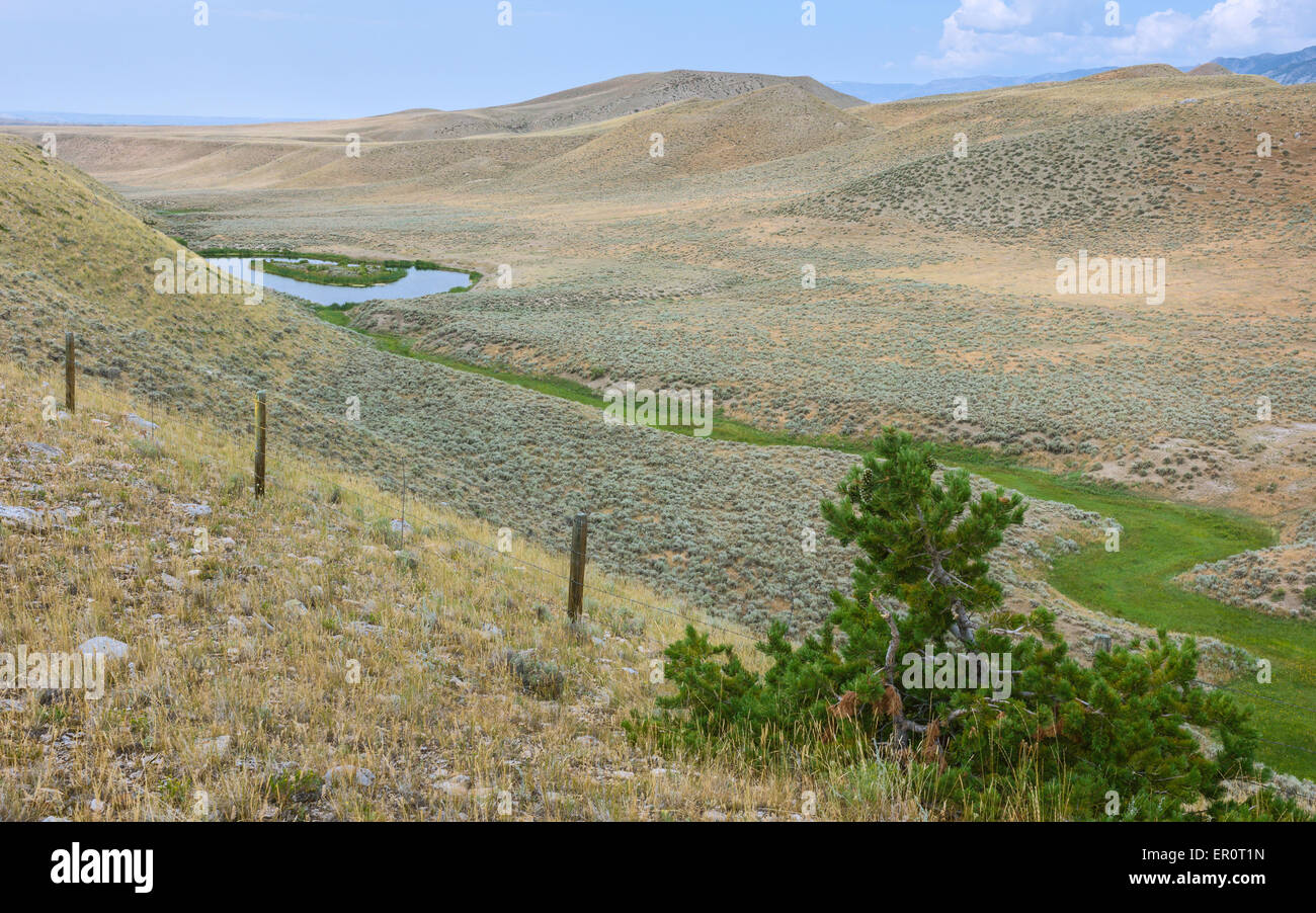 Foothills of the Beartooth Mountains with a valley flanked by shrub ...