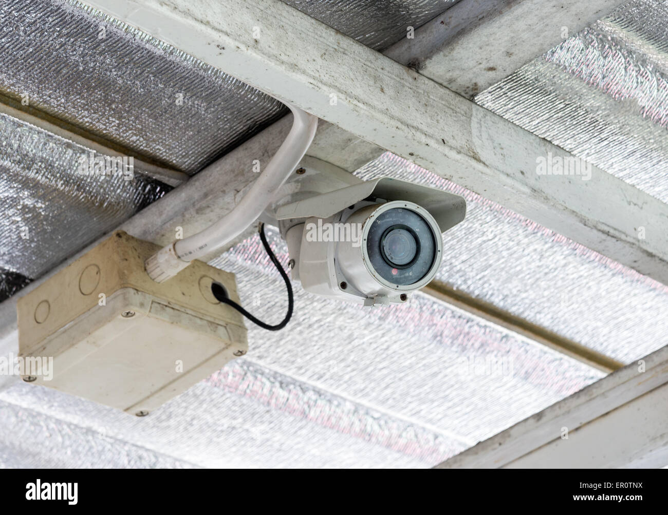 Small cctv with control box on the ceiling house Stock Photo - Alamy