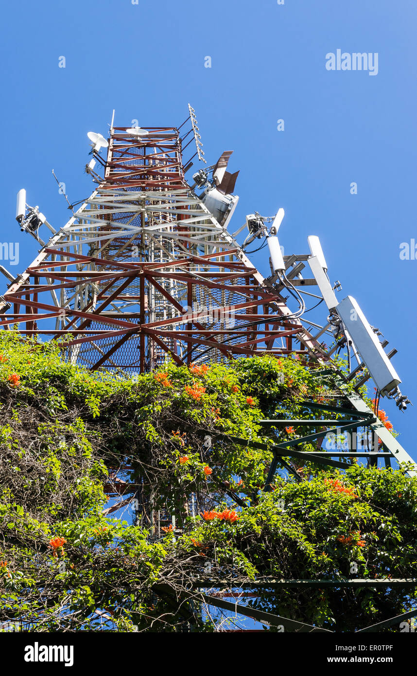 Telecommunication tower with the vertical garden in Thailand Stock ...