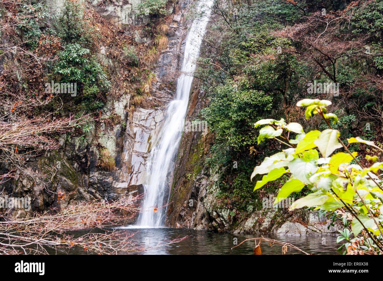 The Nunobiki waterfall, men-daki, plunging down rock face into large ...