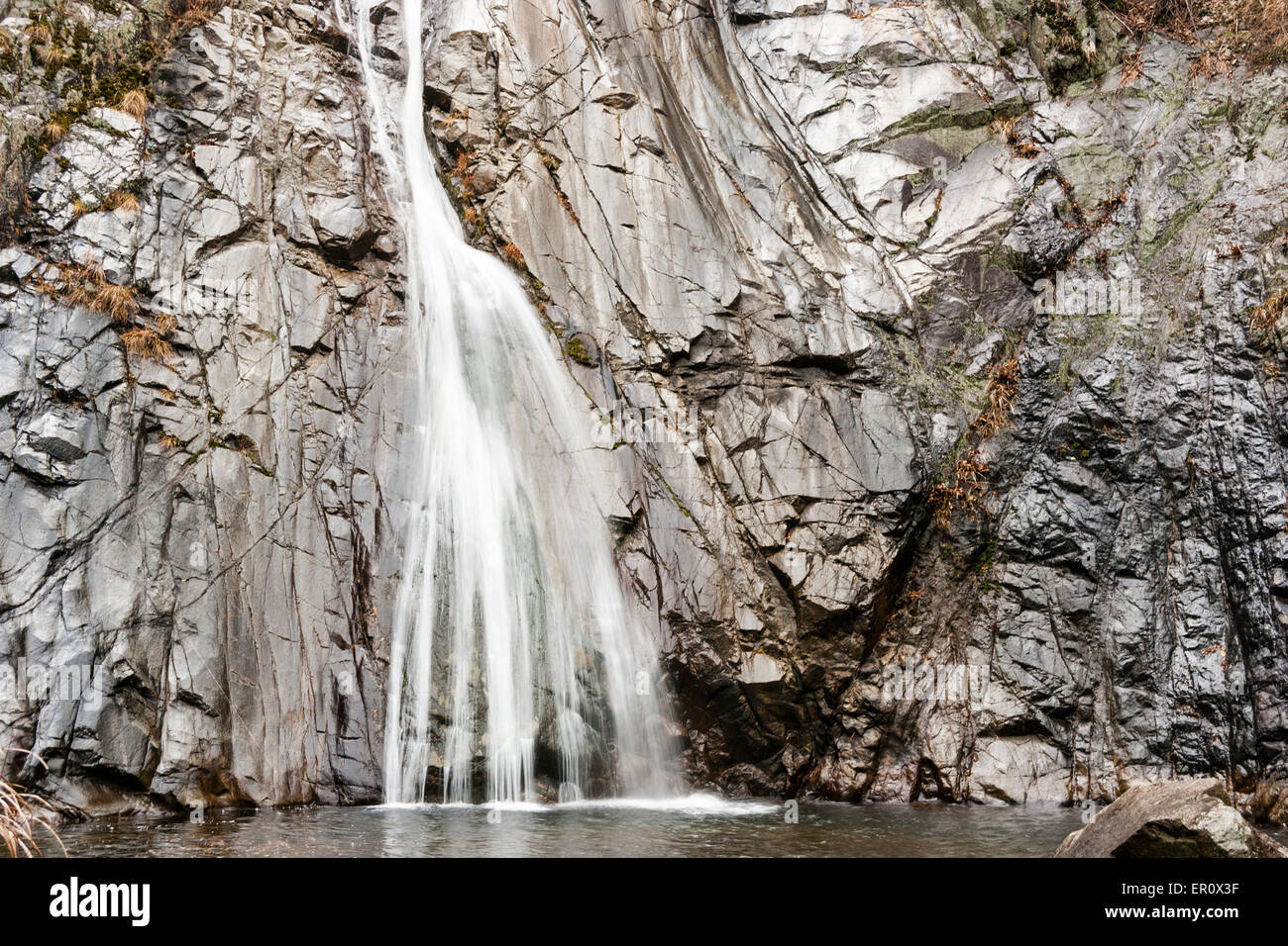 The Nunobiki waterfall, men-daki, plunging down rock face into large ...