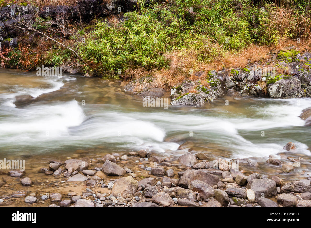 Running Water Stream