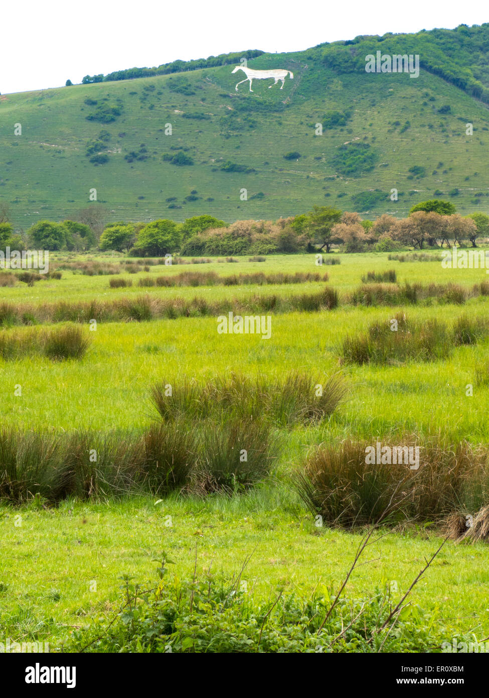 Litlington hi-res stock photography and images - Alamy