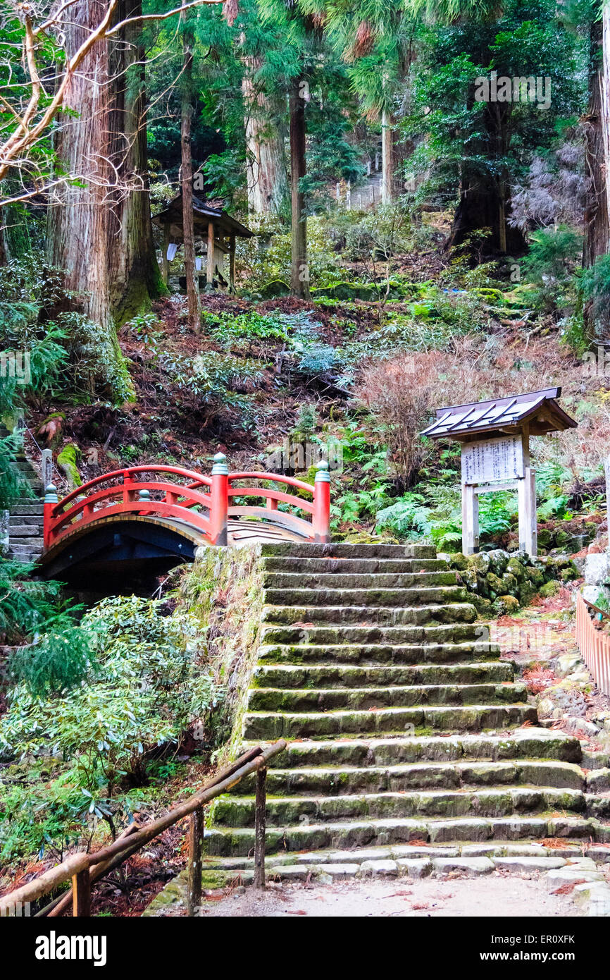 Japan, Murou-ji temple. Narrow trail, path going through very tall ...