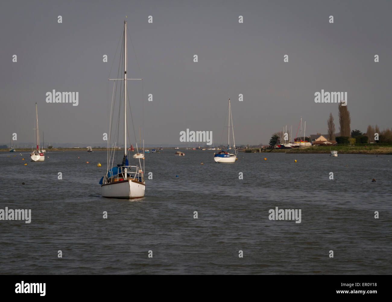 boats on River Crouch, Essex, uk Stock Photo - Alamy