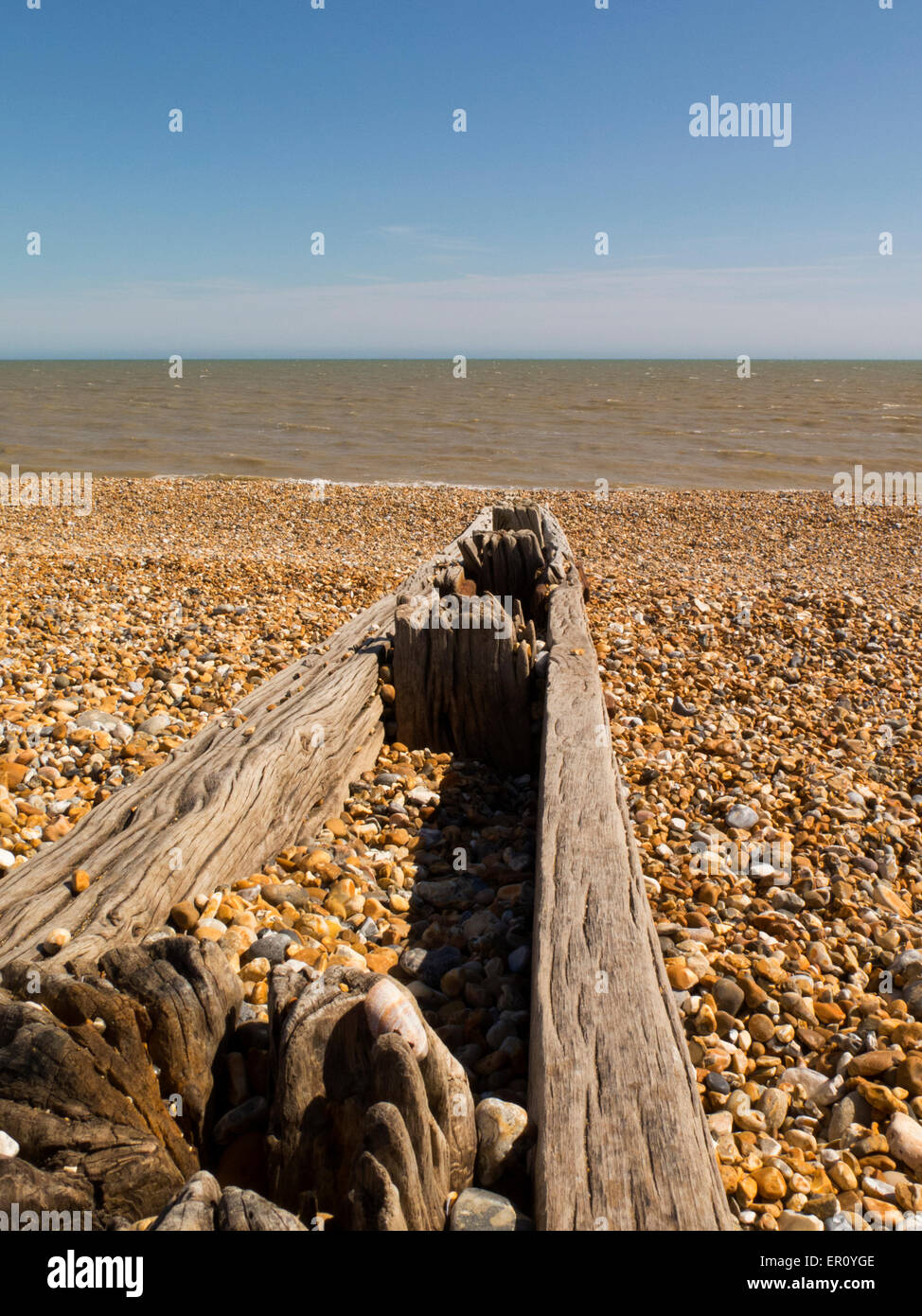 Shingle beach South Coast with Groyne Stock Photo - Alamy