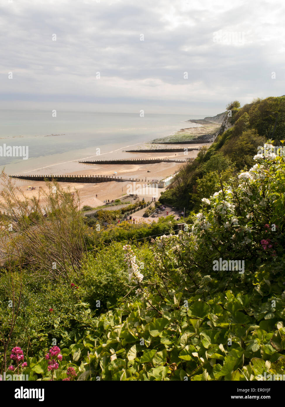 Groynes at Eastbourne East Sussex UK Stock Photo - Alamy