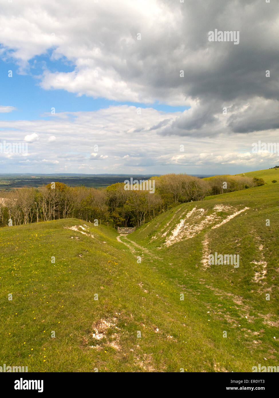The South Downs UK Stock Photo - Alamy