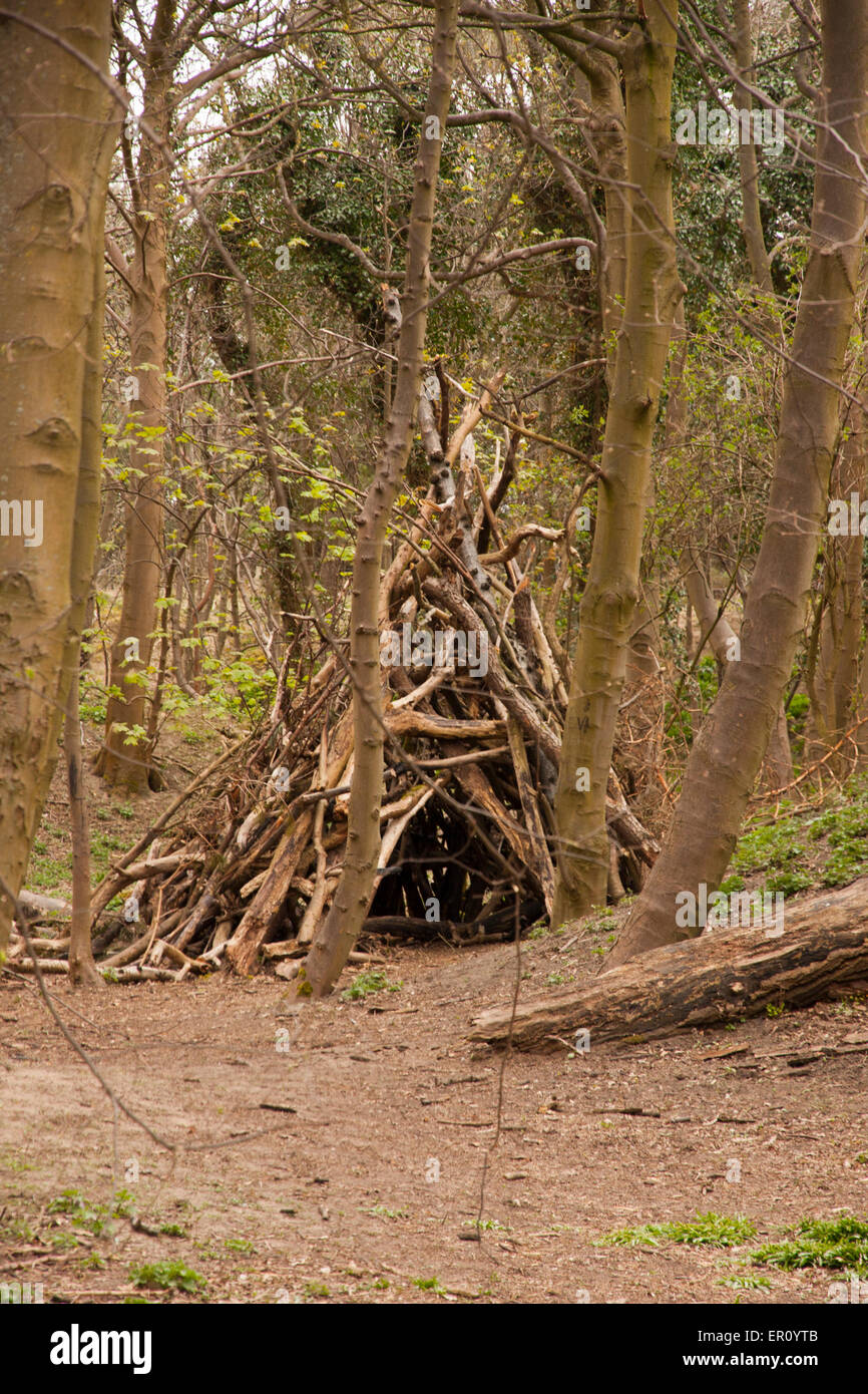 Den made of branches hi-res stock photography and images - Alamy