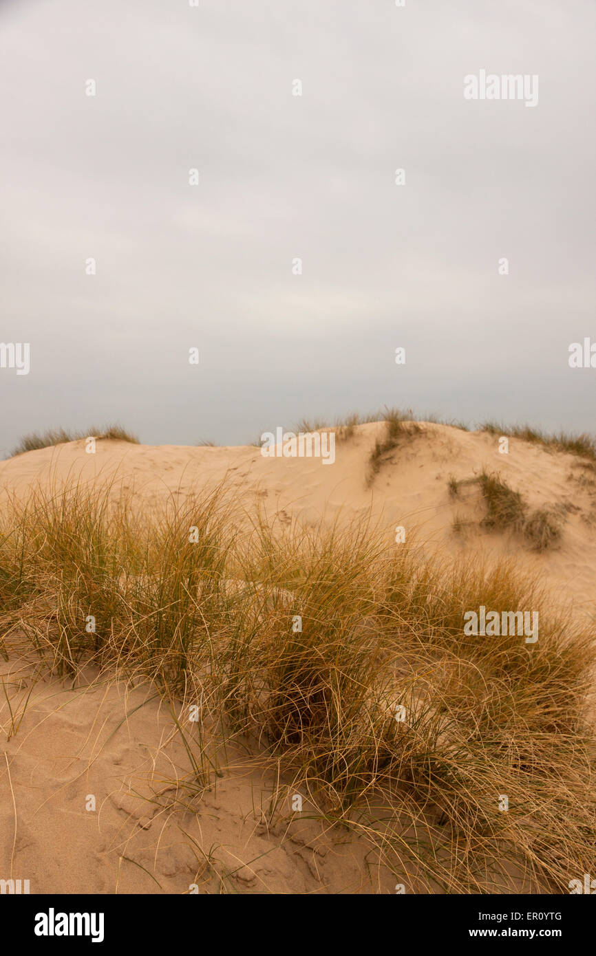 Environment formby hi-res stock photography and images - Alamy