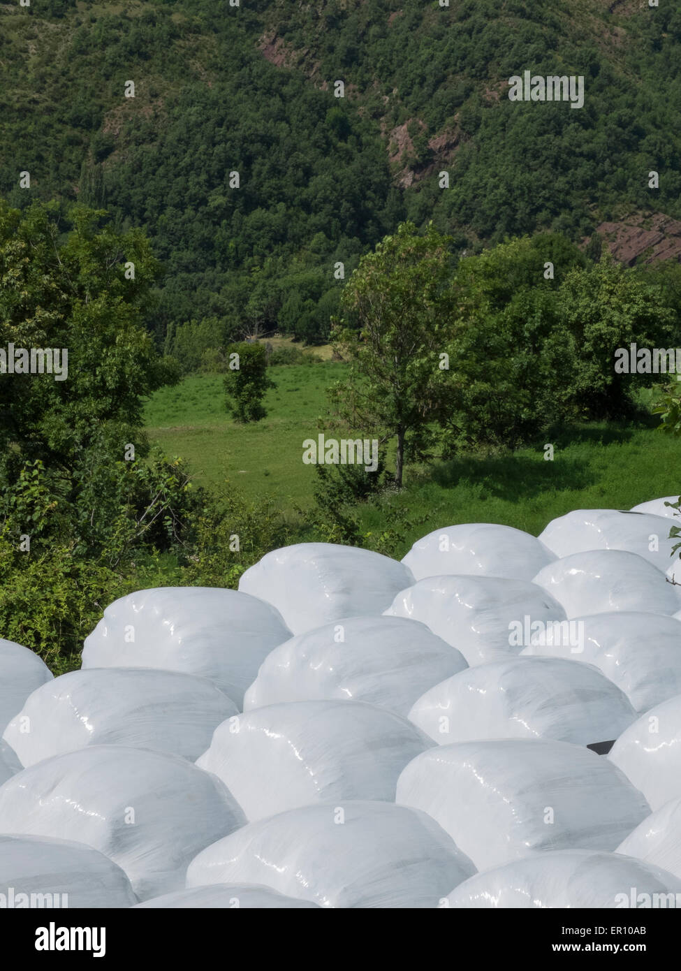 Clusters of plastic-wrapped hay blocks remaining outdoors, Spain Stock ...
