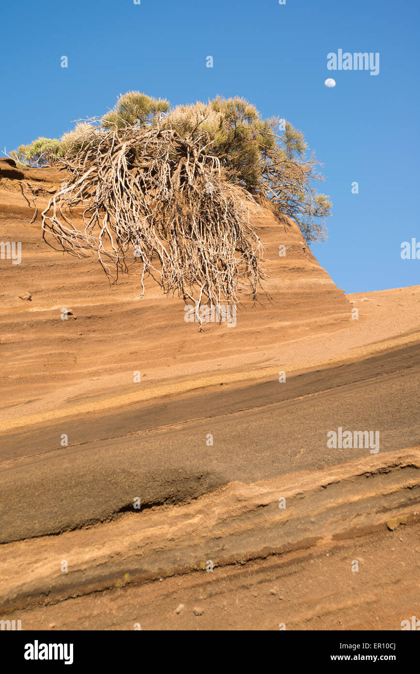 Layers of lapilli and volcanic sand on the slopes of the Teide volcano ...