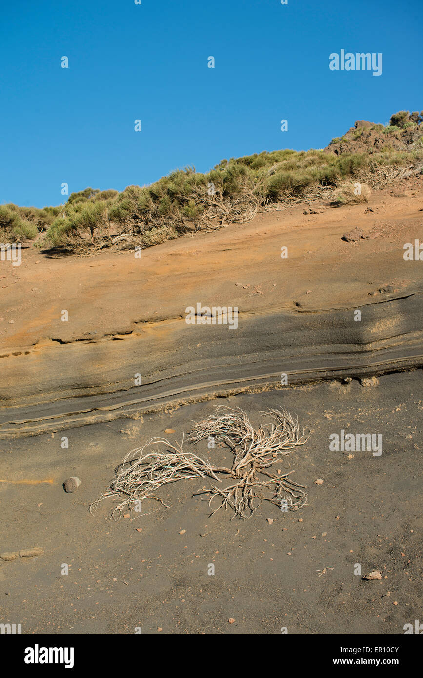 Lapilli hi-res stock photography and images - Alamy