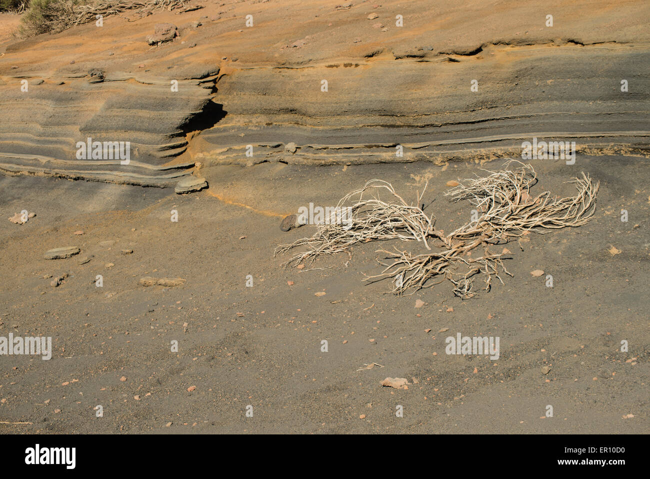 Layers of lapilli and volcanic sand on the slopes of the Teide volcano, Tenerife, Canary Islands ...