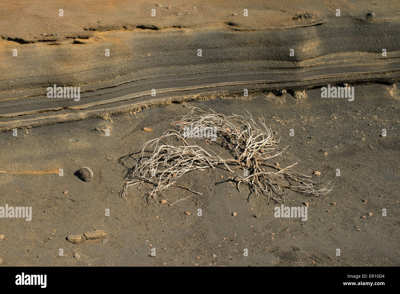 Layers of lapilli and volcanic sand on the slopes of the Teide volcano, Tenerife, Canary Islands ...