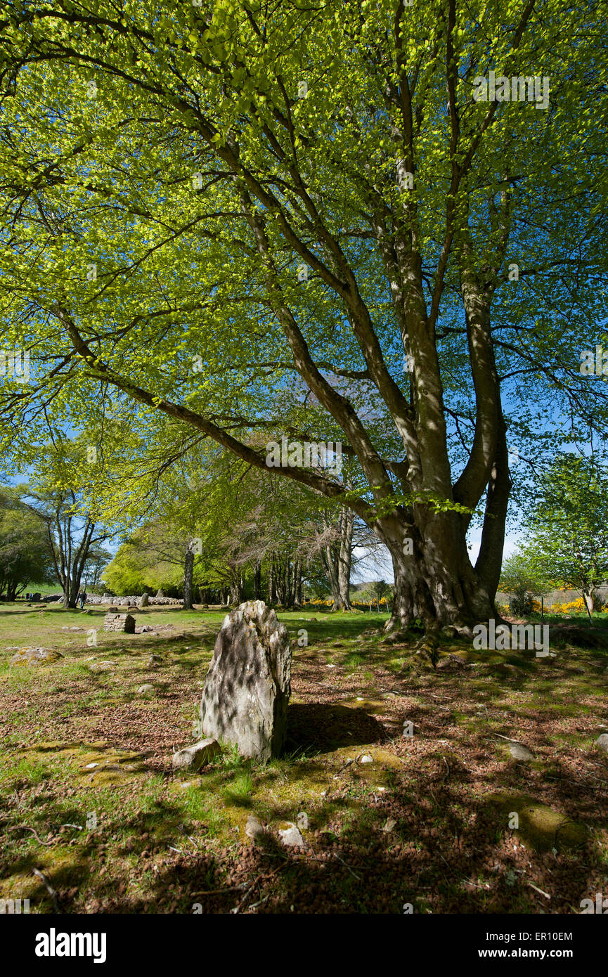 The Clava Cairns Neolithic site at Balnuaran Inverness-shire in the ...