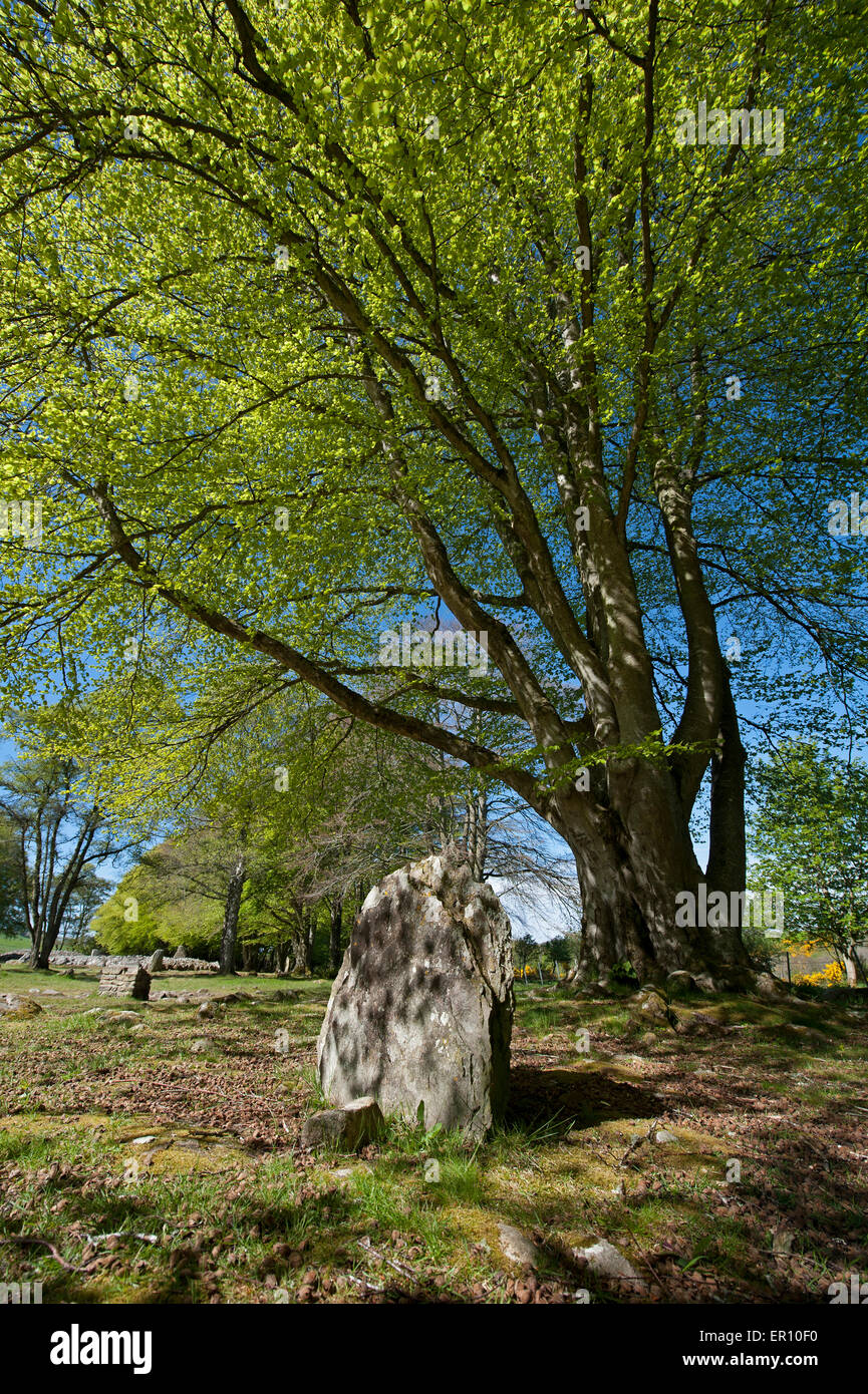 The Clava Cairns Neolithic site at Balnuaran Inverness-shire in the ...