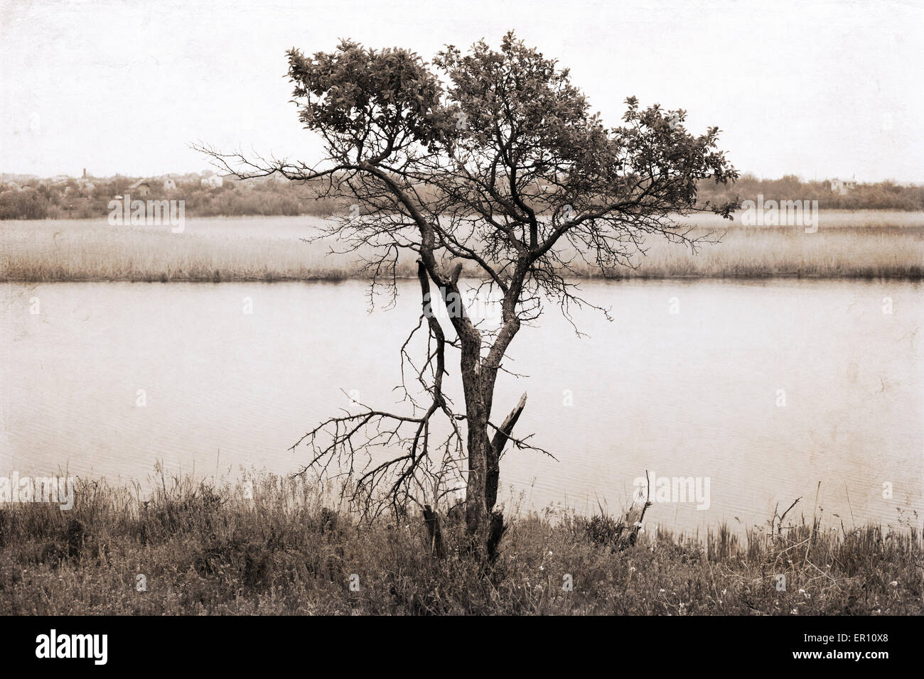 Artwork in retro painting style, trees near the river Stock Photo - Alamy